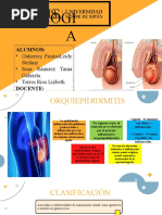 Orquitis: Diagnóstico y Tratamiento | PDF | Especialidades Medicas ...