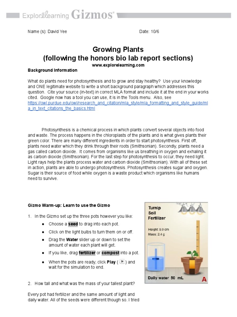 Growing Plants (Following The Honors Bio Lab Report Sections) | PDF ...
