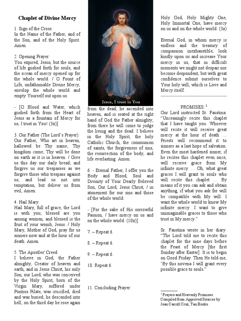 Chaplet of Divine Mercy | PDF | Systematic Theology | Ancient ...
