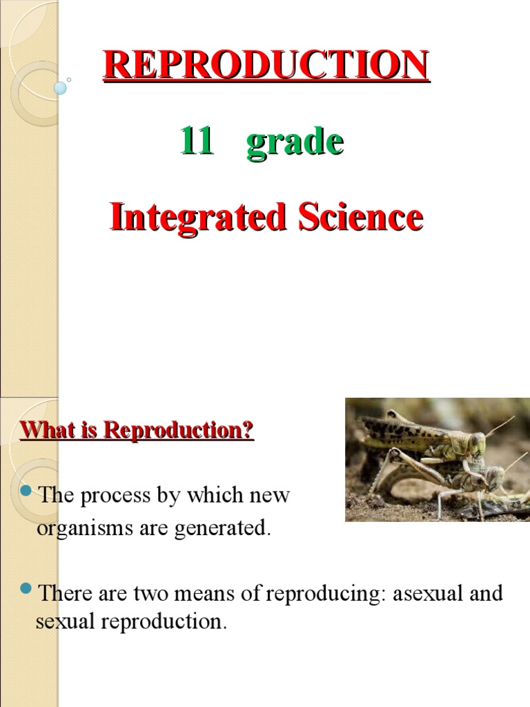 Reproduction | PDF | Uterus | Cancer