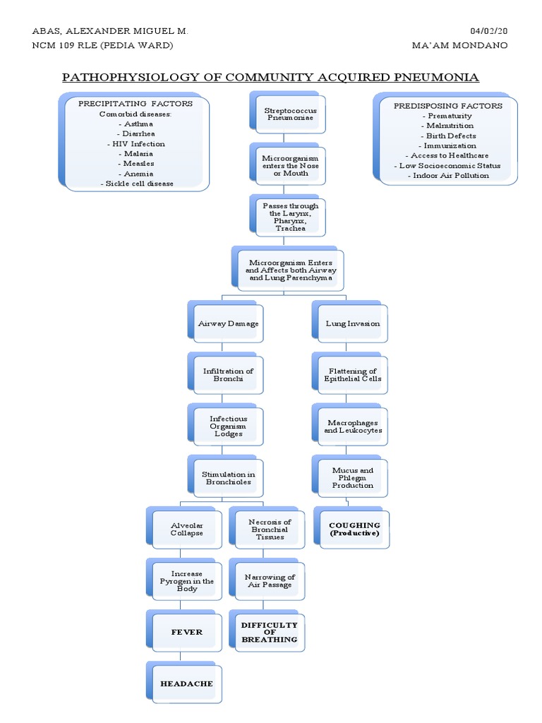 Pathophysiology of Community-Acquired Pneumonia | PDF | Respiratory ...