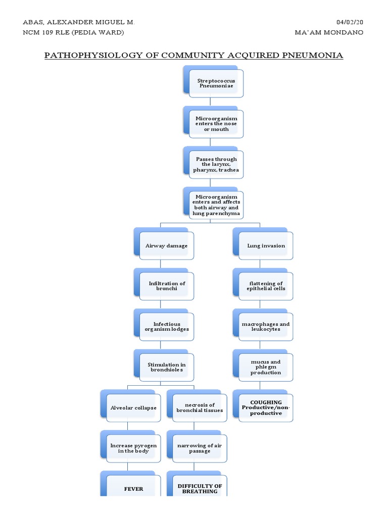 Abas, Pathophysiology of Cap | PDF | Respiratory Tract | Physiology