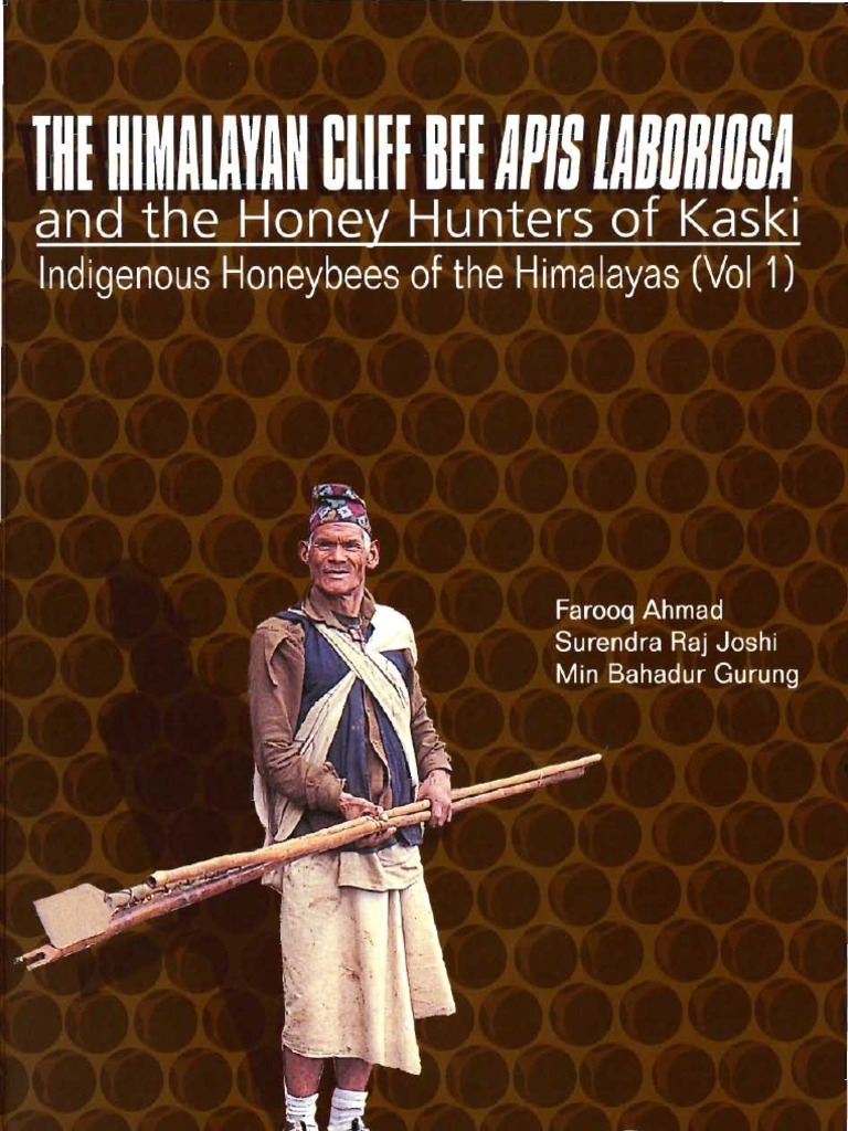 Icimod-The Himalayan Cliff Bee Apis Laboriosa and The Honey Hunters of ...