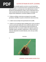 Cuento Crisantemo | PDF