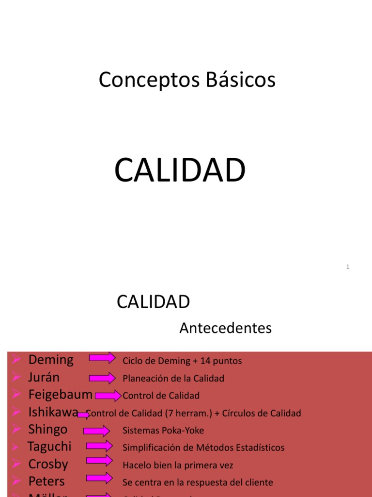 Conceptos Basicos de Calidad | PDF