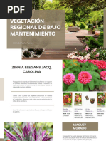 Bingo de Plantas Pictos | PDF