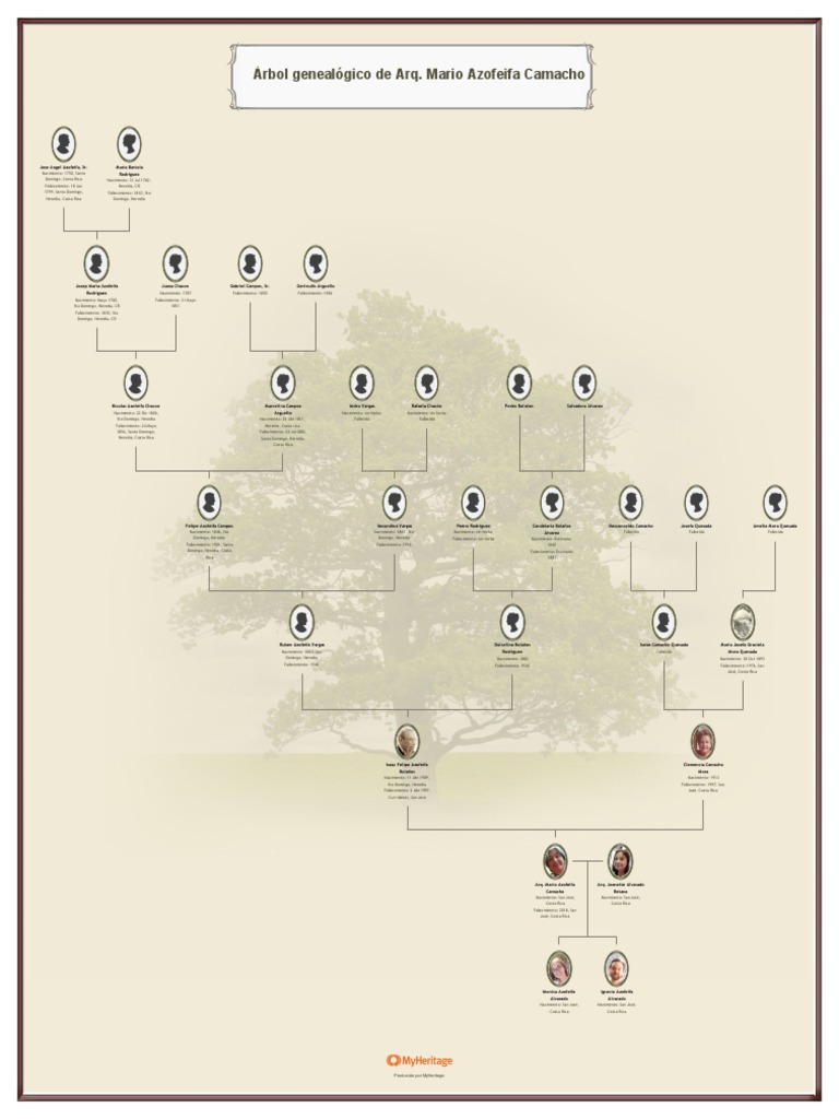 Arbol Mario Azofeifa | PDF