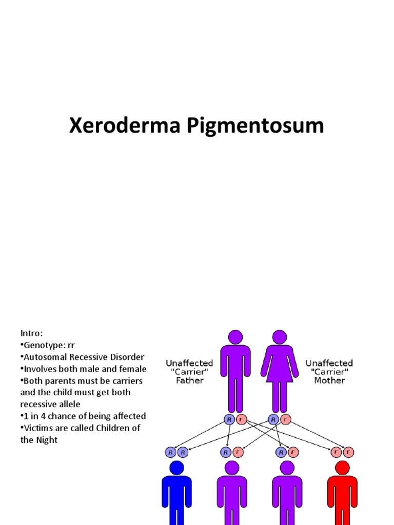 Xeroderma Pigmentosum | PDF | Science & Mathematics