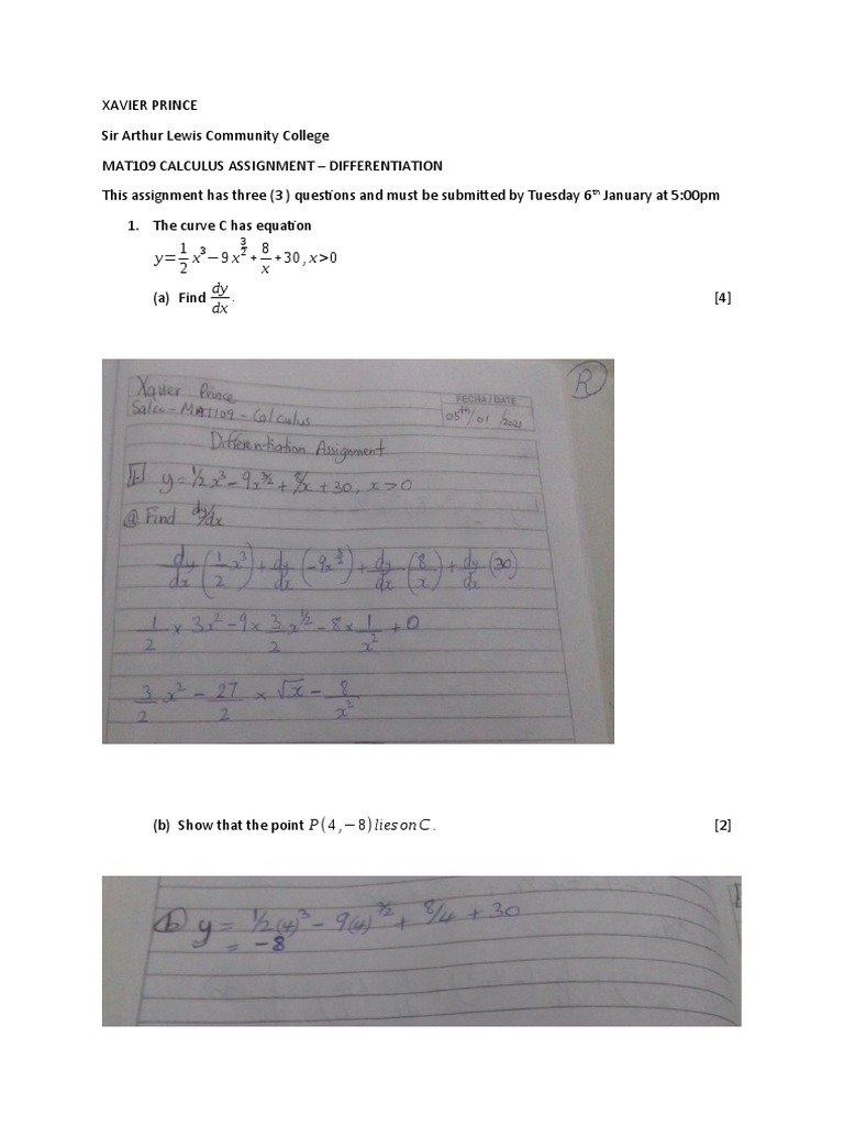 Differentiation Assignment | PDF