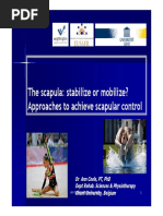 Musculoskeletal Clinical Translation Framework | PDF | Pain | Neuroscience