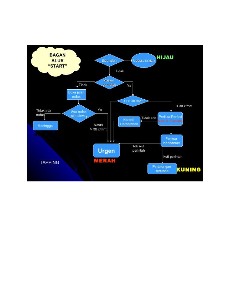 Contoh Gambar Alur Triase | PDF