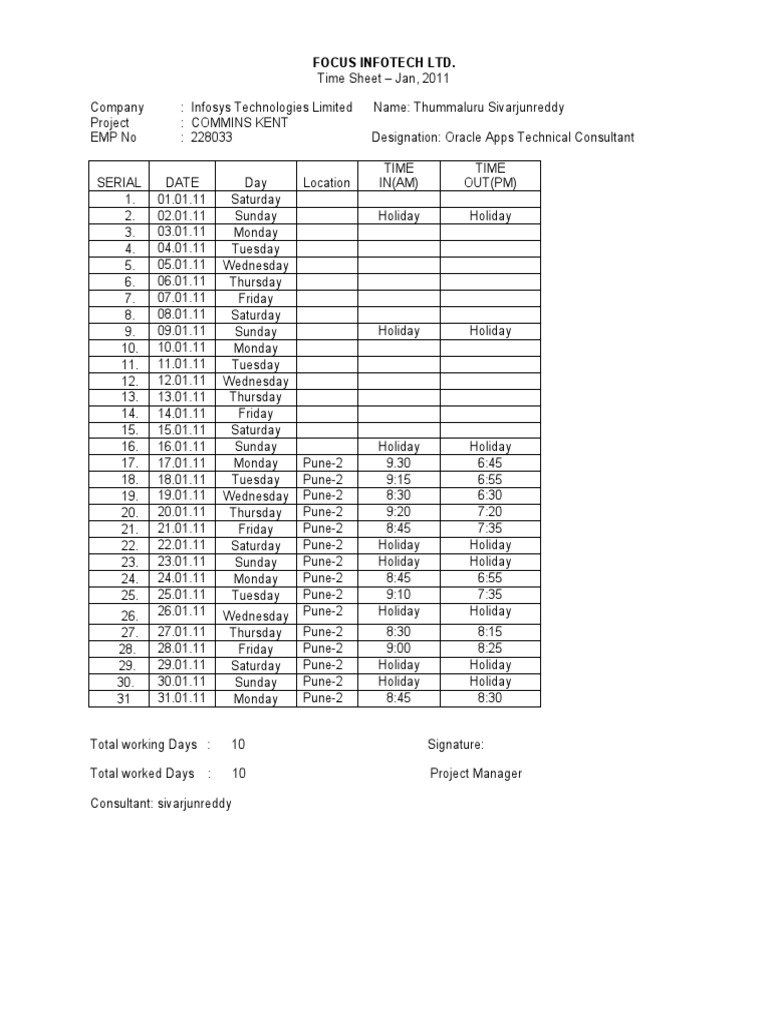 January 2011 Timesheet for Oracle Consultant | PDF
