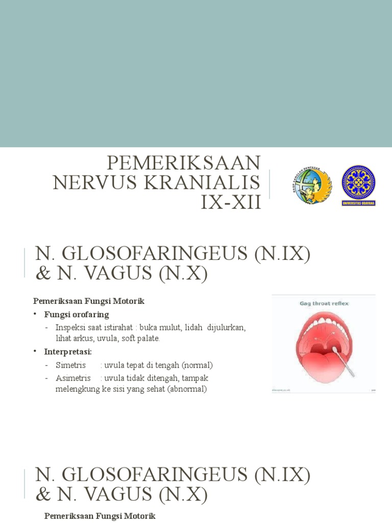 Pemeriksaan Nervus IX-XII pada Pasien | PDF | Kajian Bahasa Asing ...
