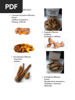 Daftar Nama Nama Simplisia 40 | PDF