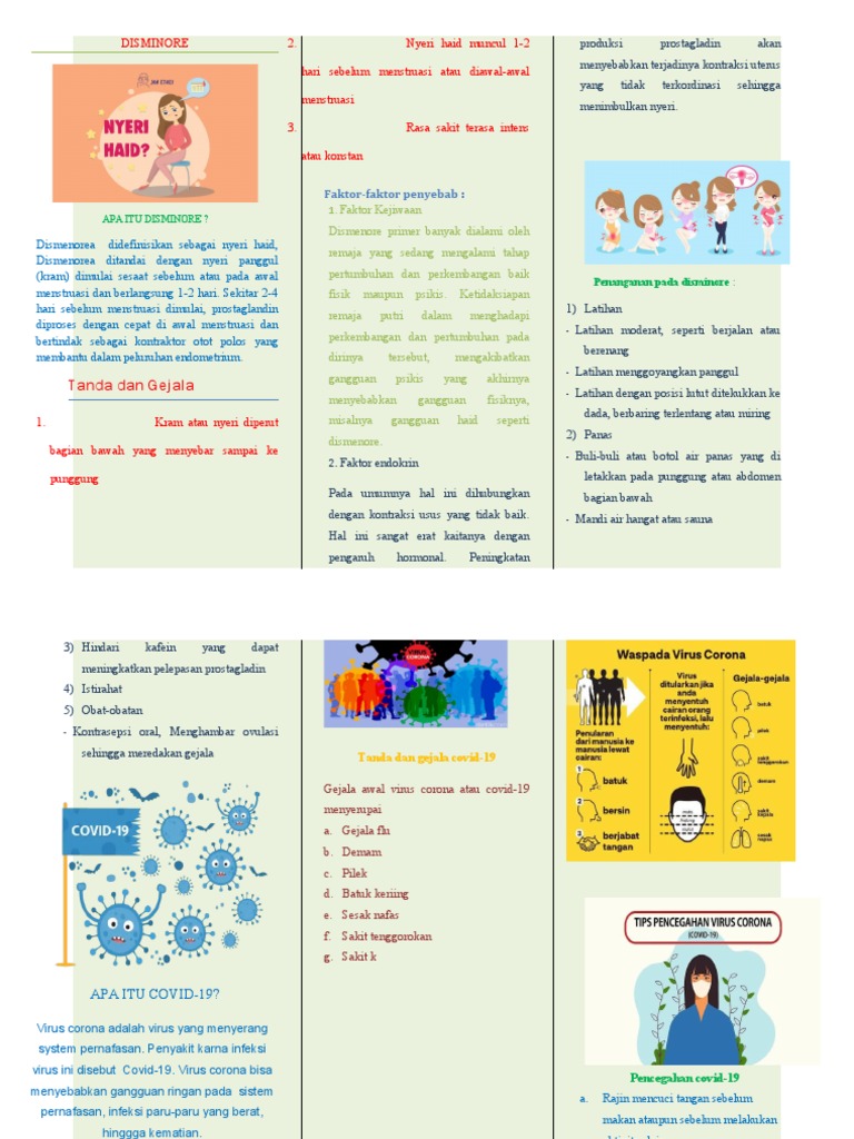 Leaflet Disminore | PDF