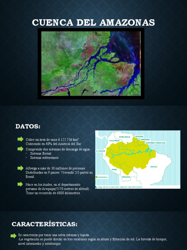 Cuenca Del Amazonas | PDF