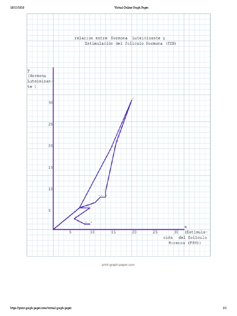Virtual Online Graph Paper | PDF
