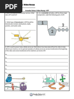 Amoeba Sisters - Video REcap | PDF | Dna | Gene