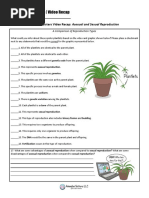 Amoeba Sisters - Plants-Diversity, Structure & Adaptations Video | PDF ...