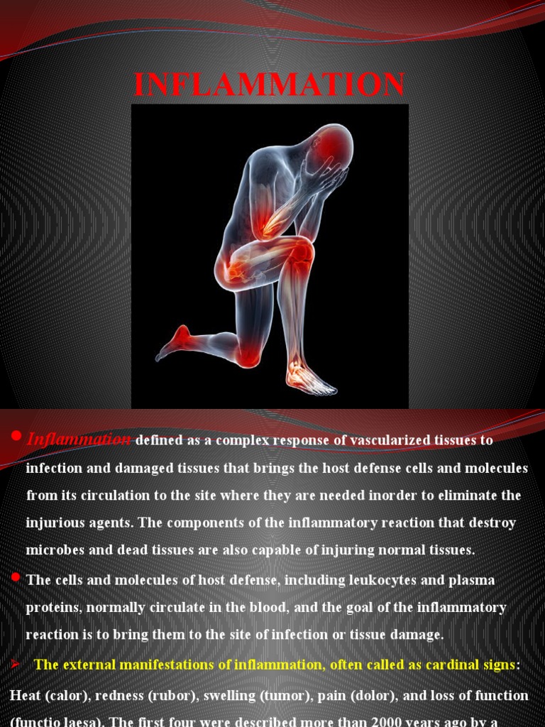 Understanding Inflammation: Types and Causes | PDF | Macrophage ...