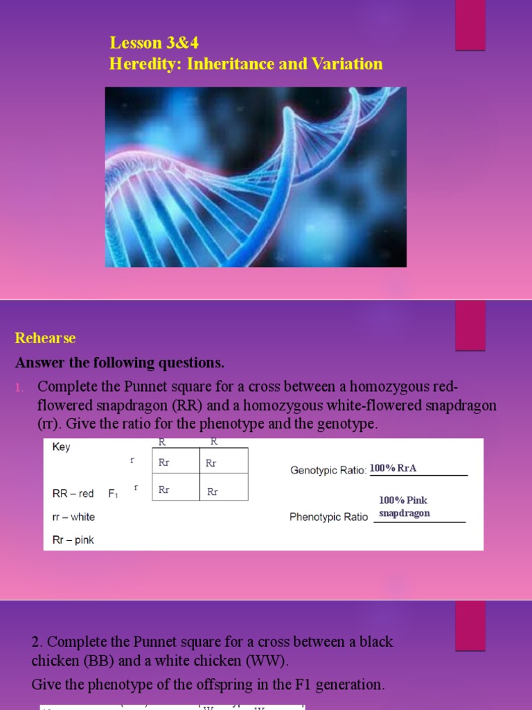 Lesson 3&4 Heredity: Inheritance and Variation | PDF | Science ...