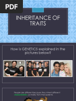2C.2 Patterns of Inheritance | PDF | Dominance (Genetics) | Zygosity