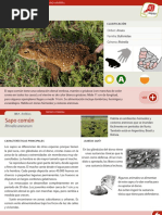 Nomenclatura ALADI - NALADISA (Introducción) | PDF | Taxonomía ...