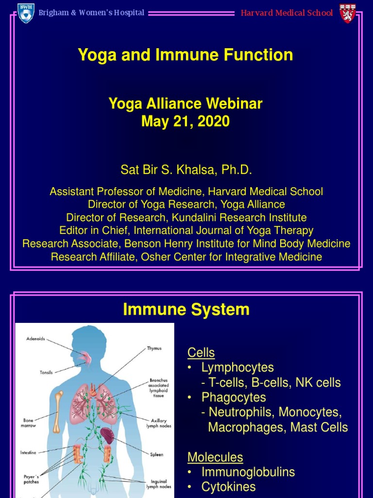 Yoga and The Immune System 5-21-20 | PDF | Common Cold | Diseases And ...