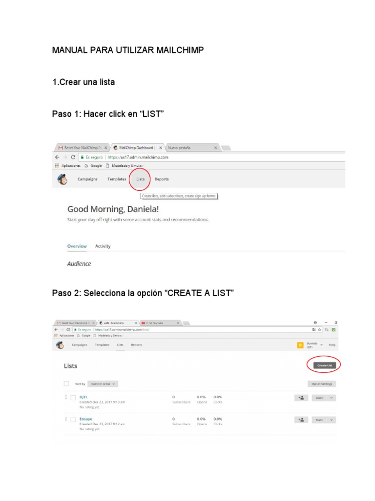 Manual - Mailchimp | PDF