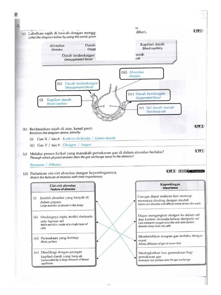 Modul Kelas Tambahan | PDF