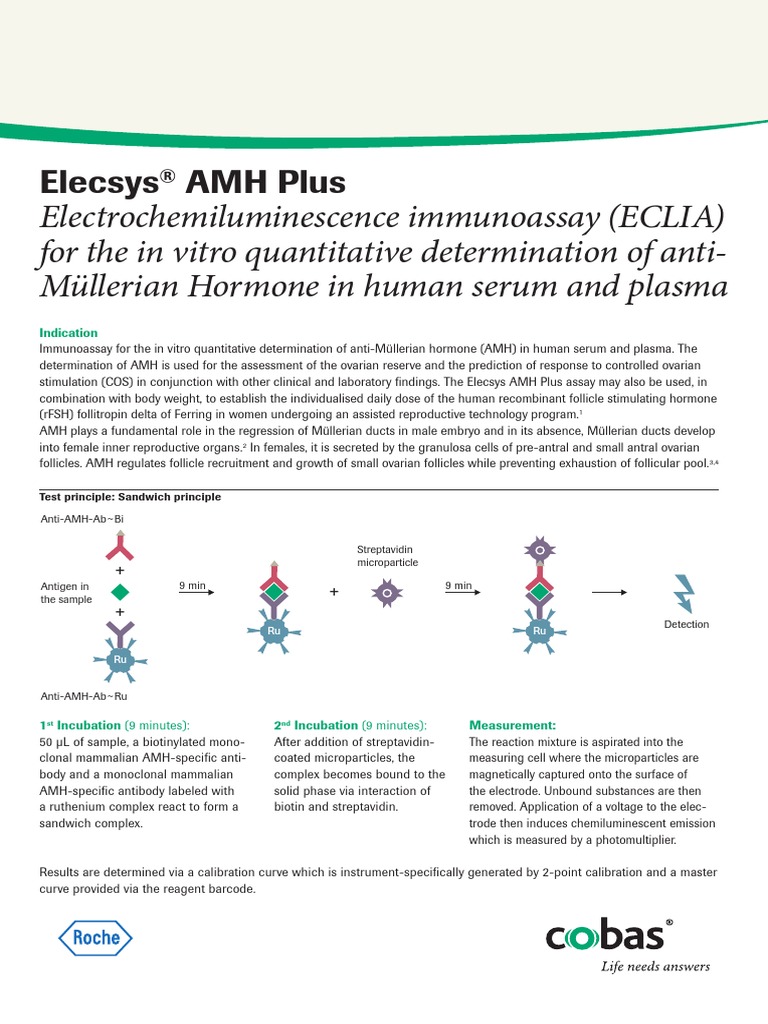 Elecsys AMH Plus FactSheet | PDF | Immunoassay | Medical Specialties