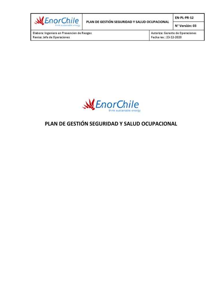 Plan Sso 2021 | PDF | Seguridad y salud ocupacional | Seguridad
