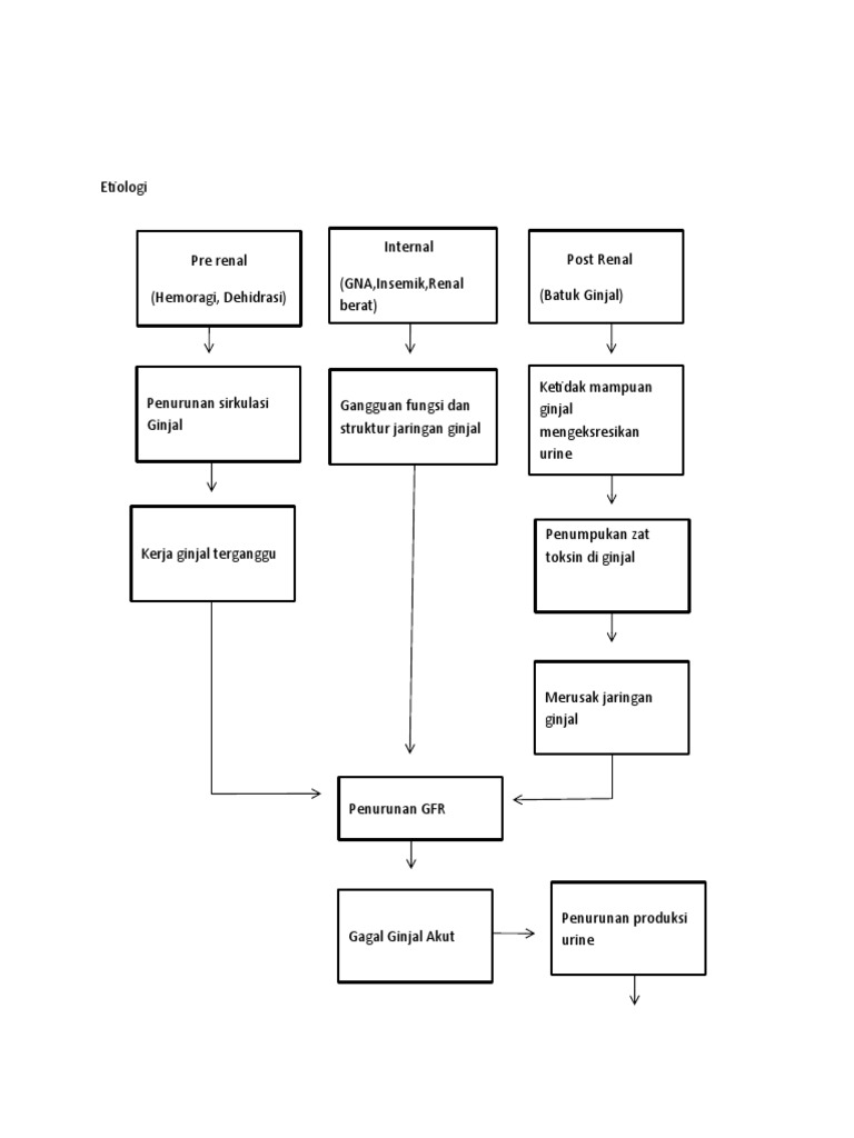 Patofisiologi Gagal Ginjal Akut | PDF