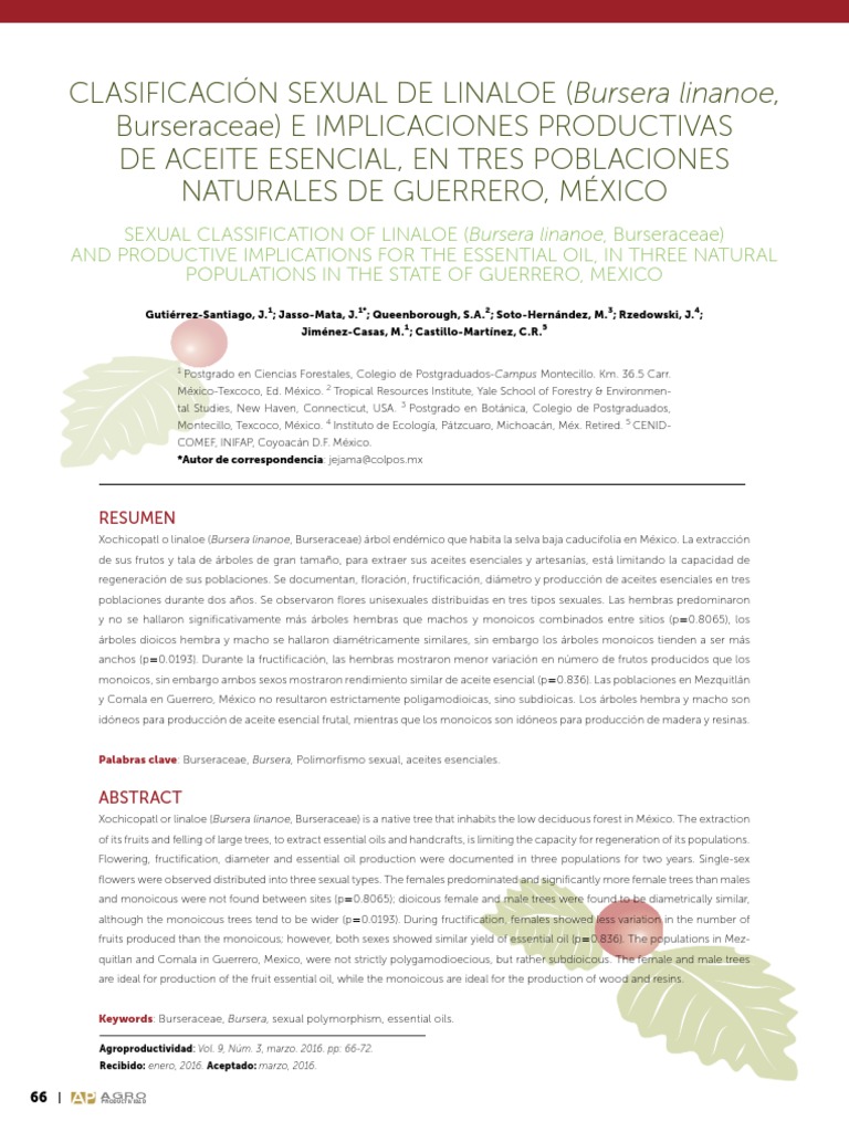 Clasificacion Sexual Linaloe | PDF | Sexo | Arboles