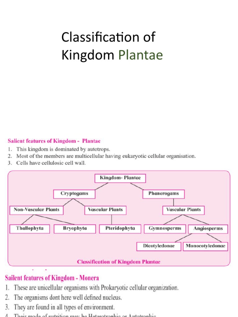 Classification of Kingdom Plantae | PDF | Taxa | Organisms