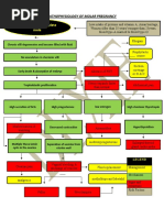 TCHP-Docetaxel Carboplatin Trastuzumab Pertuzumab Neoadjuvant Adjuvant Protocol V2.2 | PDF ...