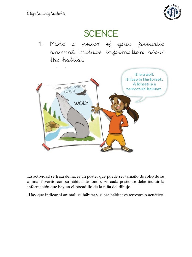 Make A Poster of Your Favourite Animal | PDF