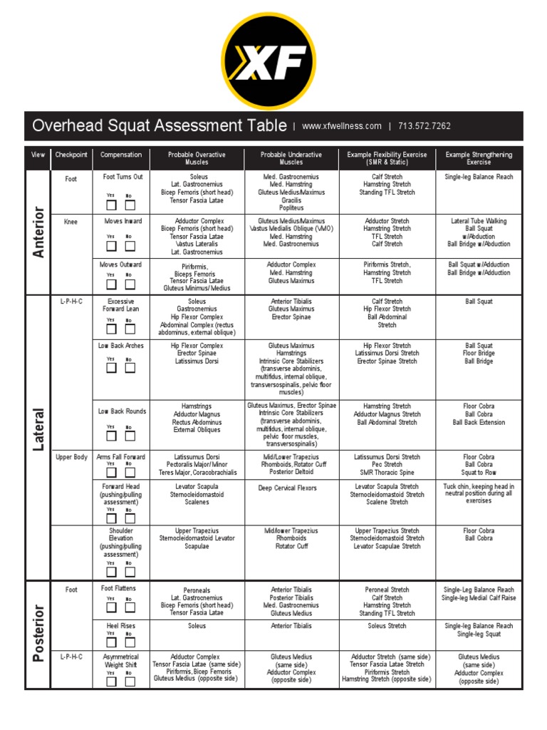 Overhead Squat Assessment Table: Identifying Probable Muscle Imbalances ...