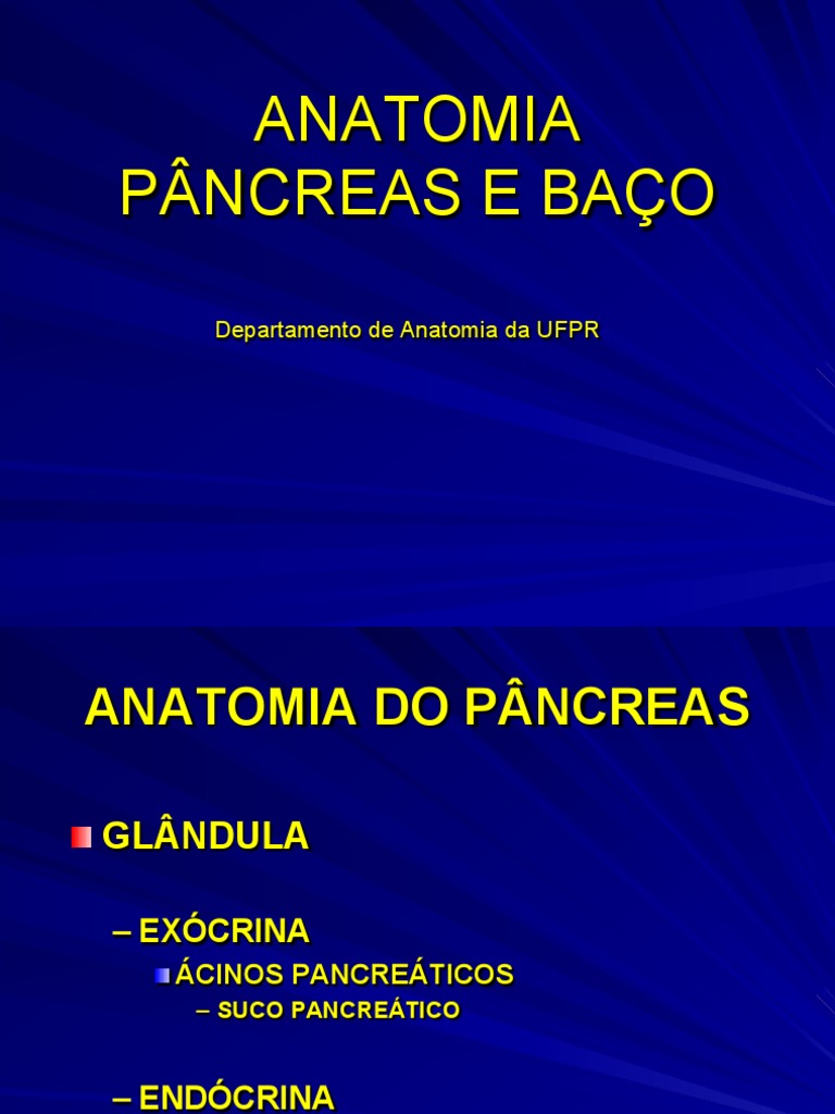 Anatomia Do Pancreas | PDF | Pâncreas | Baço