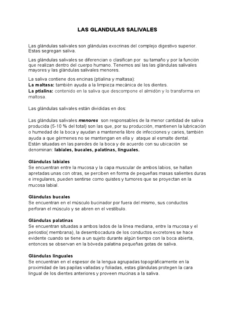 Glandulas Salivales | PDF | Saliva | Anatomía humana