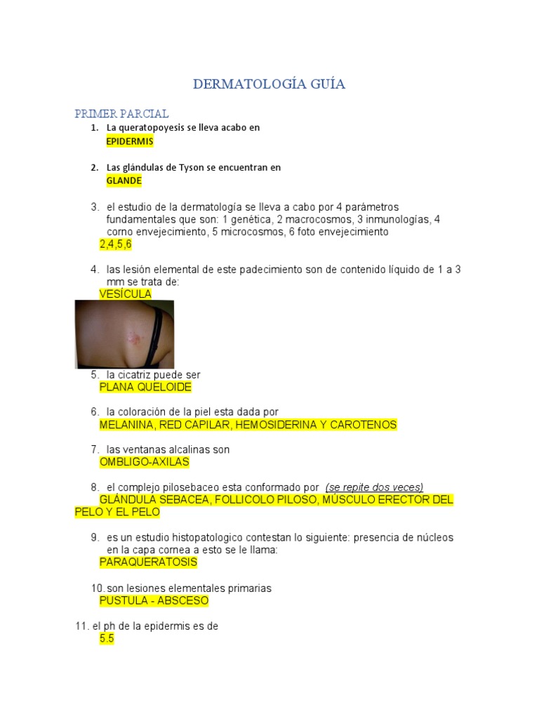 Dermatología Guía | PDF | Inmunología | Condiciones cutáneas