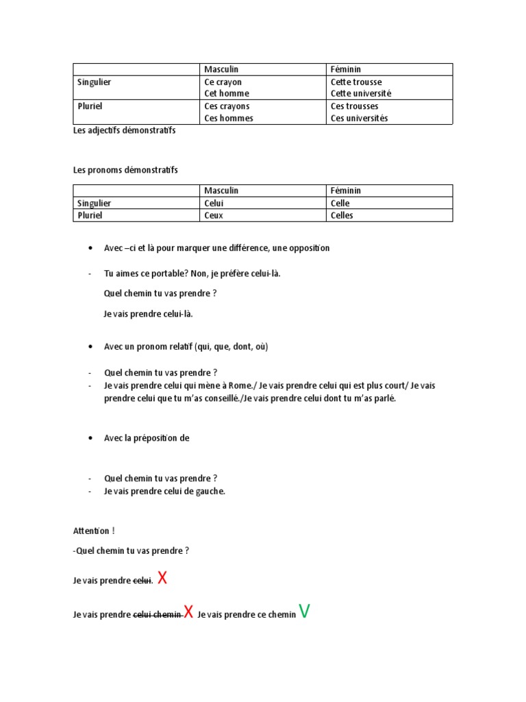Pronoms Et Adjectifs Démonstratifs | PDF
