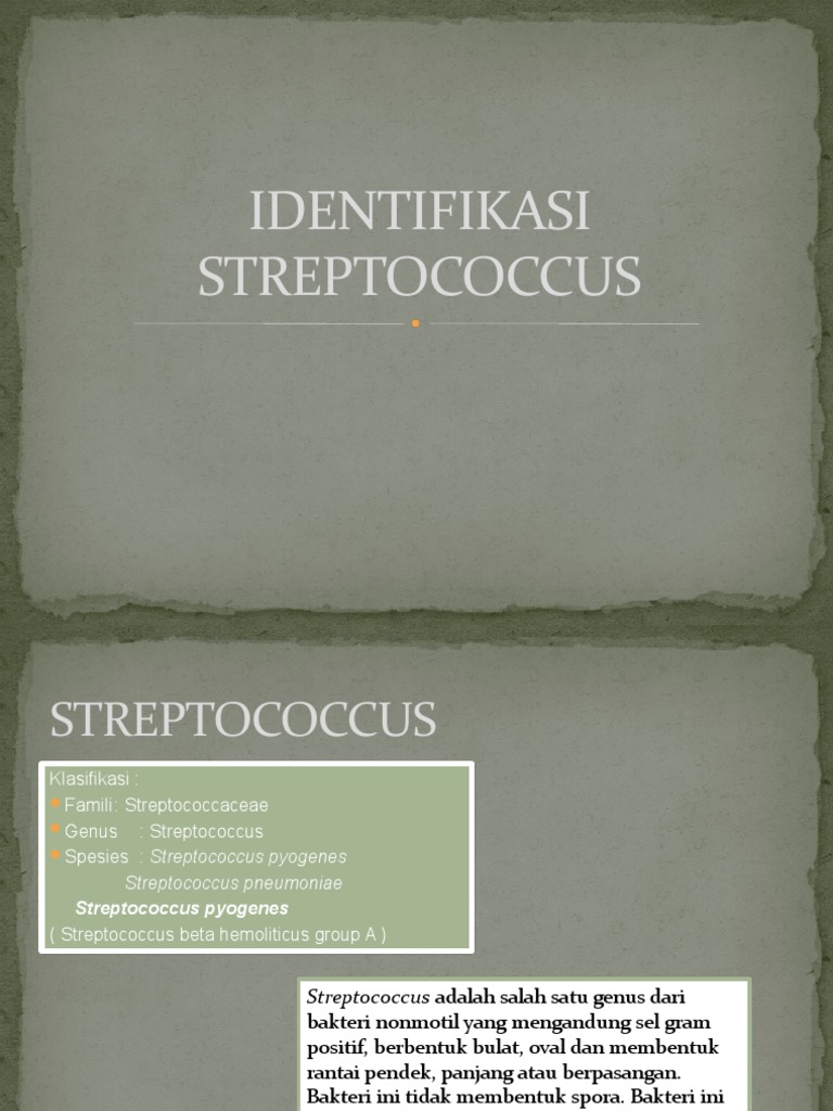 Identifikasi Streptococcus | PDF