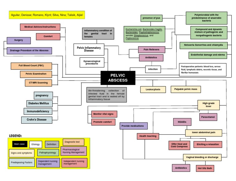Pelvic Abscess Concept Map | PDF | Public Health | Immunology