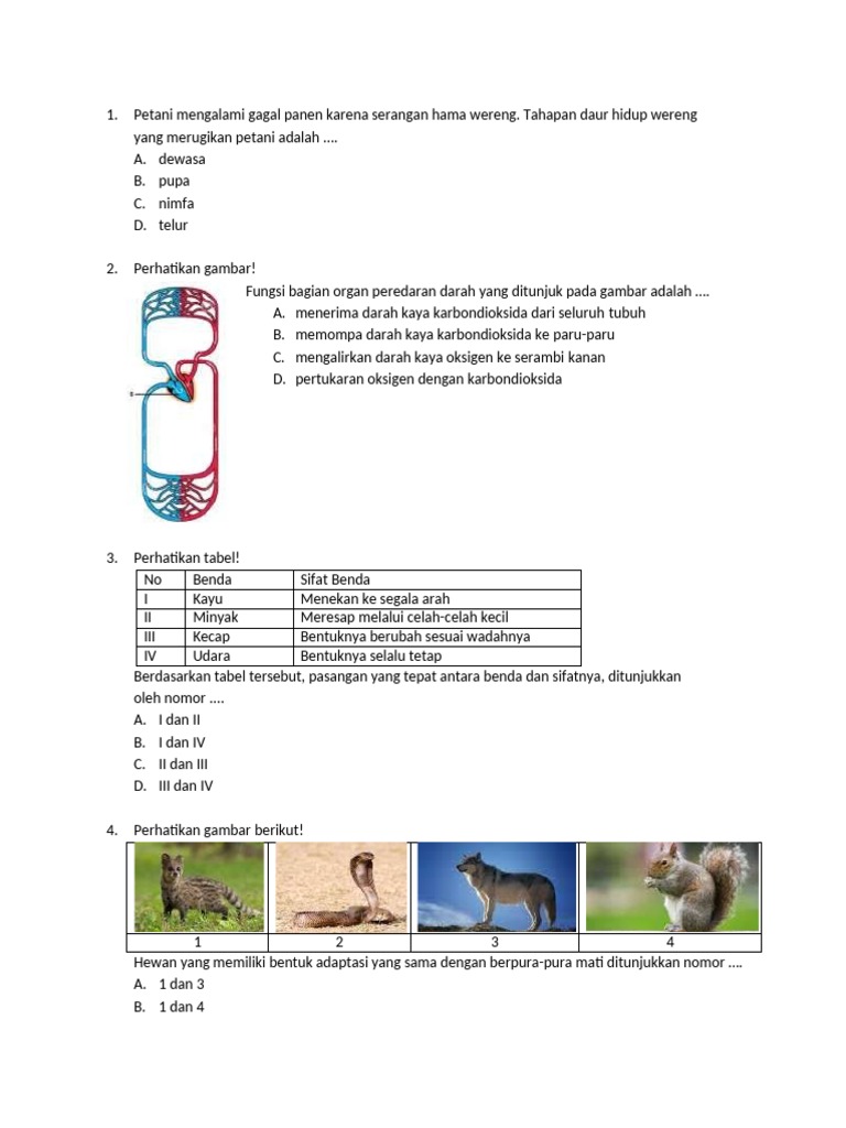 Soal Ipa PPDB Tipe B | PDF