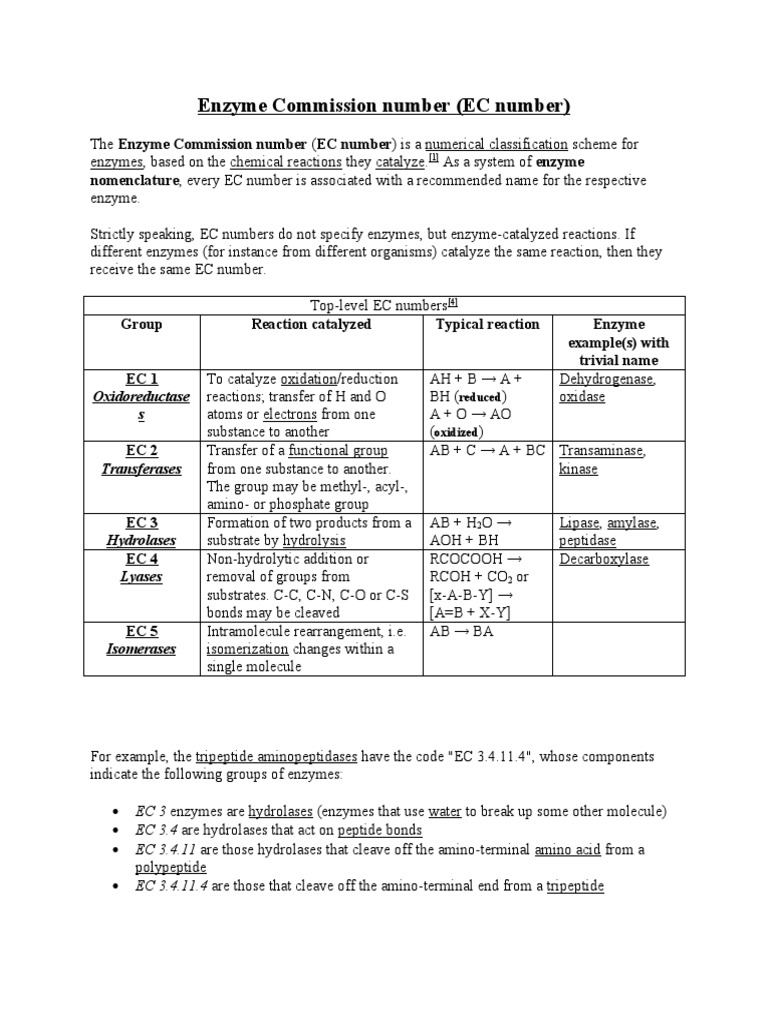 Understanding EC Numbers for Enzymes | PDF | Enzyme | Biomolecules