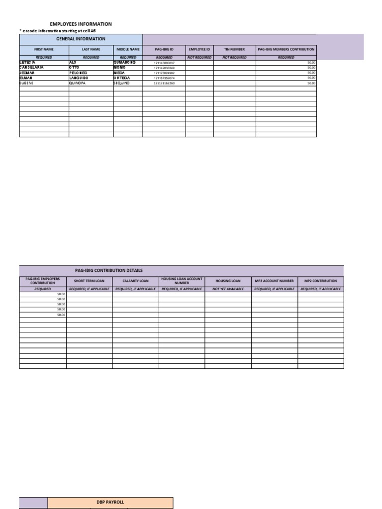 Egov Excel MCL Jan Joel | PDF | Corporations | Payments