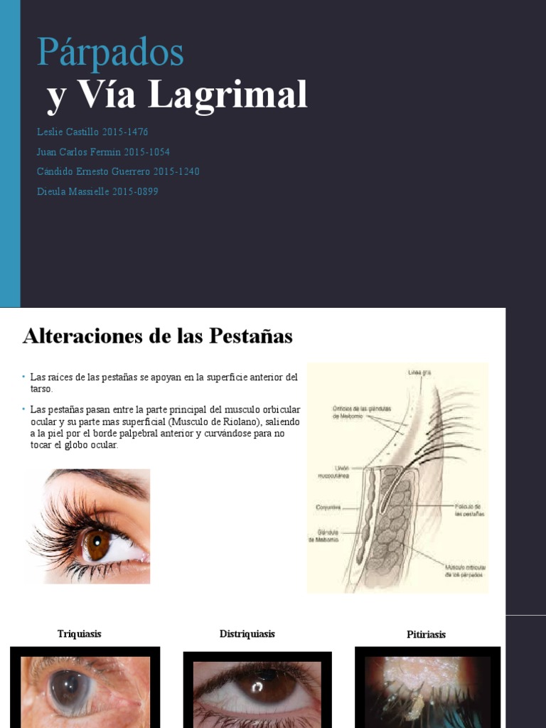 Parpado y Vía Lagrimal Expo Oftalmo | PDF | Piel | Especialidades Medicas