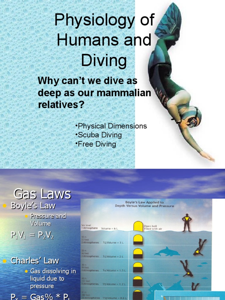 Physiology of Humans and Diving: Why Can't We Dive As Deep As Our ...