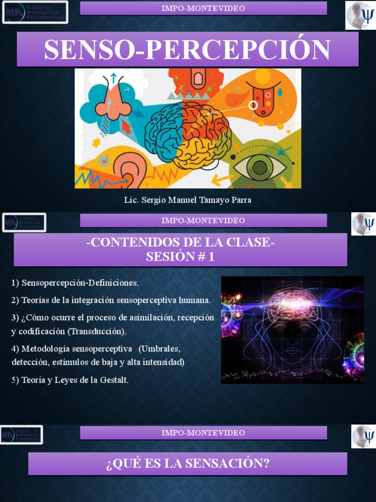 Sensopercepción - Clase No. 1 | PDF | Sentidos | Percepción